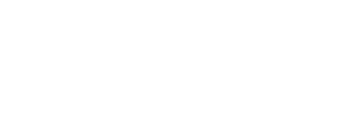 Contact - Direct Flight Solutions